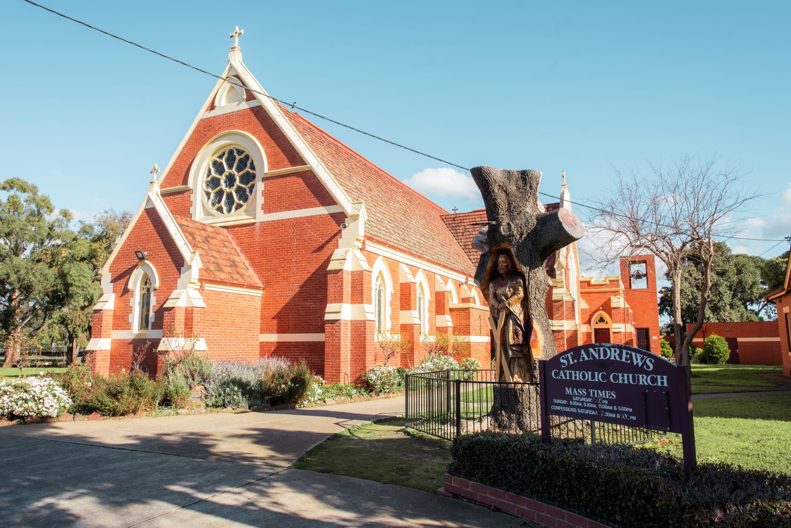 Lifestyle - Tribellarise